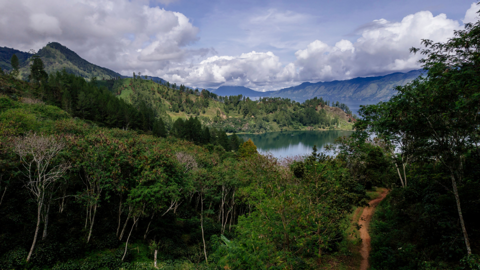 Fair Trade USA y Acorn amplían el acceso a la economía del carbono para ...
